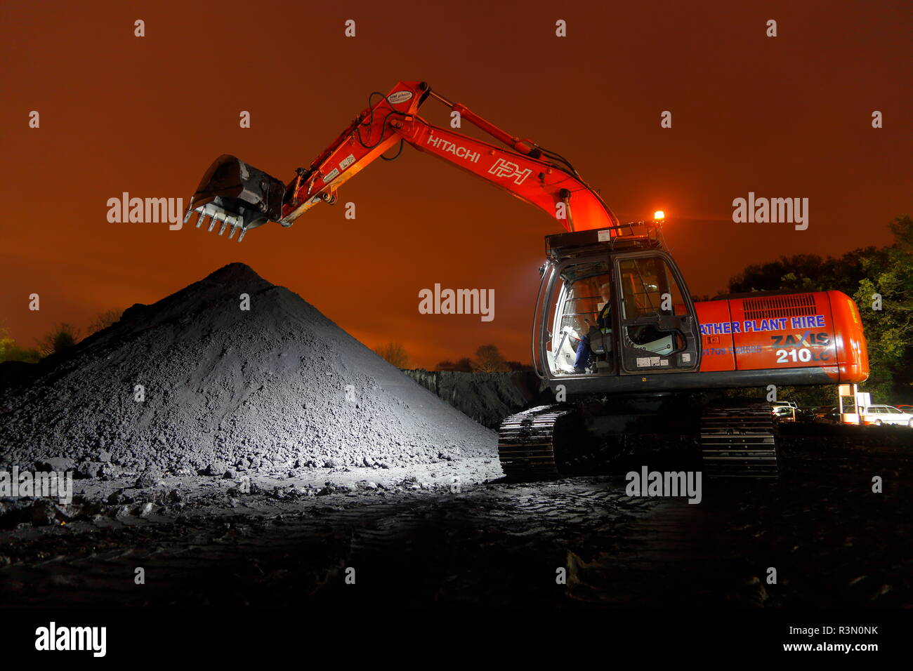 Hather plant hi-res stock photography and images - Alamy