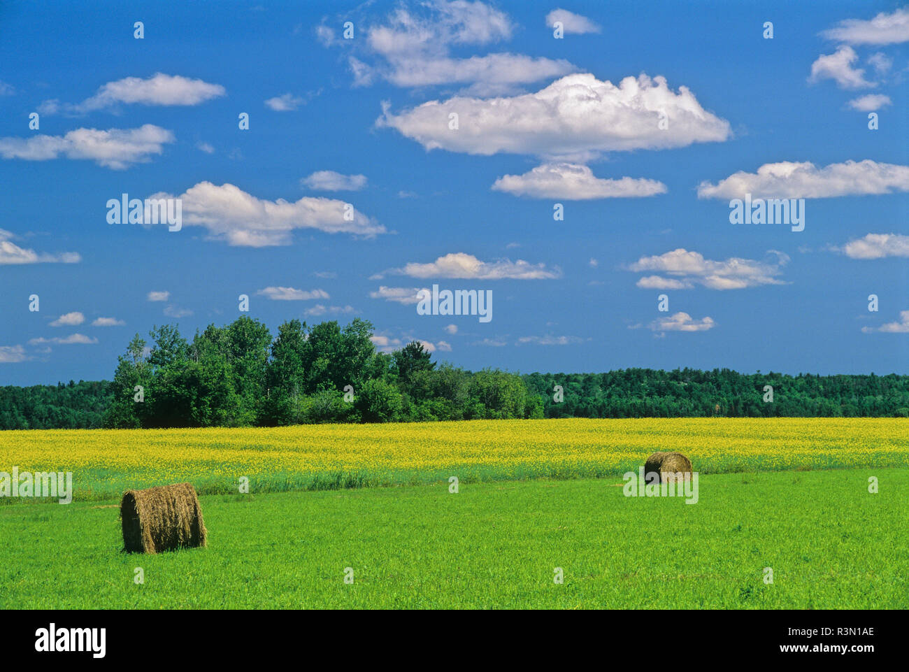 Farm ontario field hi-res stock photography and images - Alamy