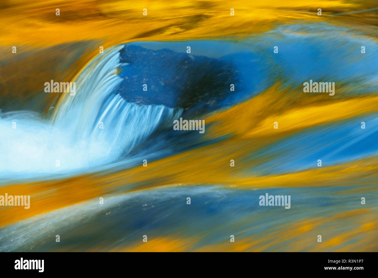 Canada, Ontario, Rushing River Provincial Park. Rock in Rushing River ...