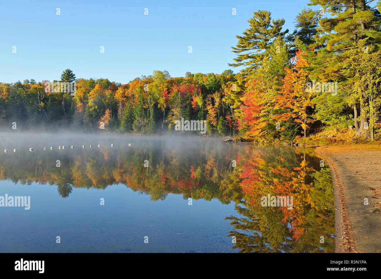Canada, Ontario, Silent Lake Provincial Park. Lake beach and forest in ...