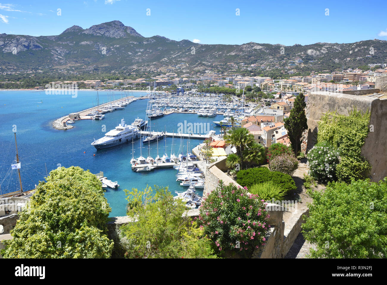 Port of Calvi, Corsica, France Stock Photo - Alamy