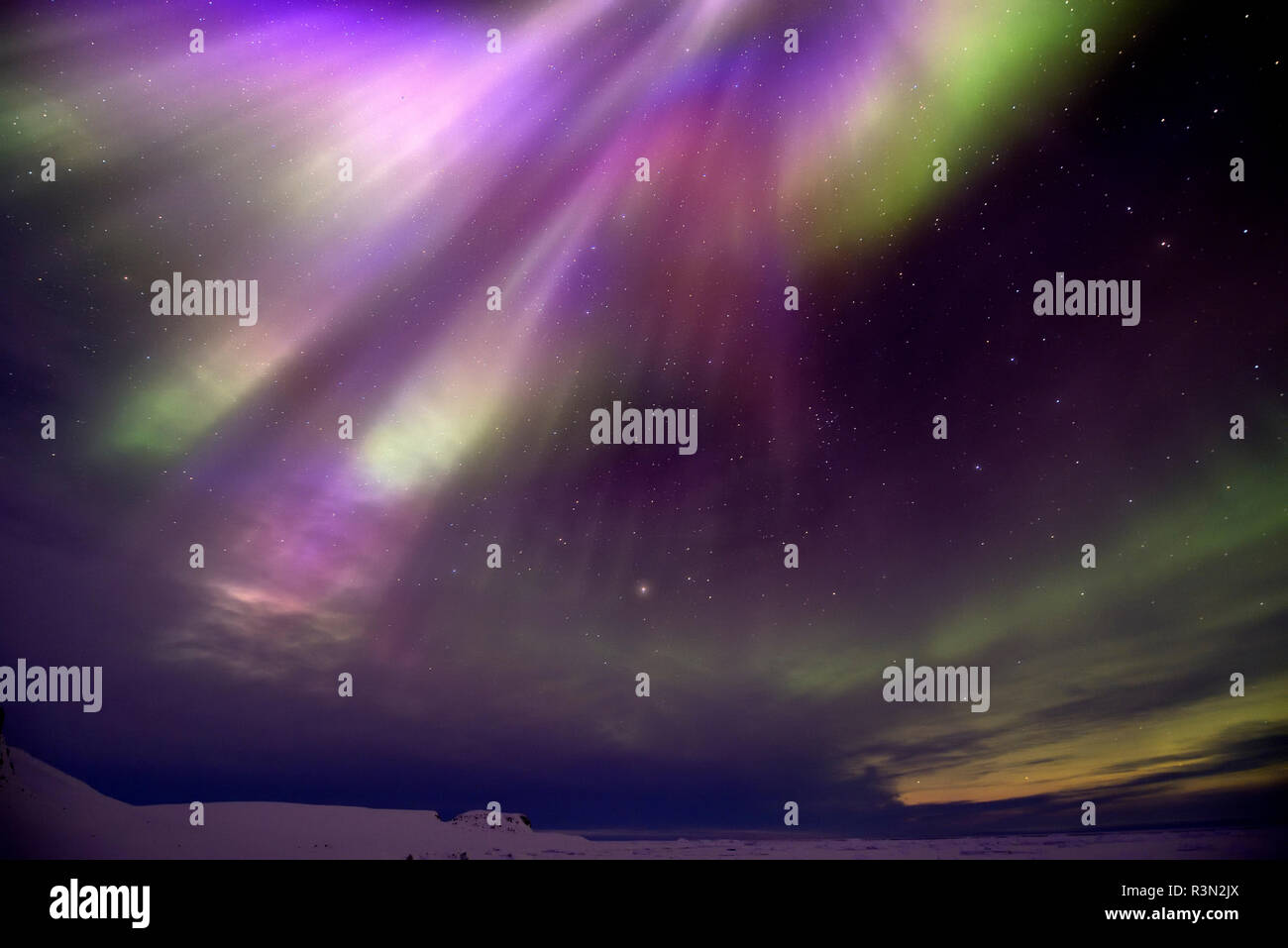 Northern Lights Violet, North East Coast Greenland Stock Photo - Alamy