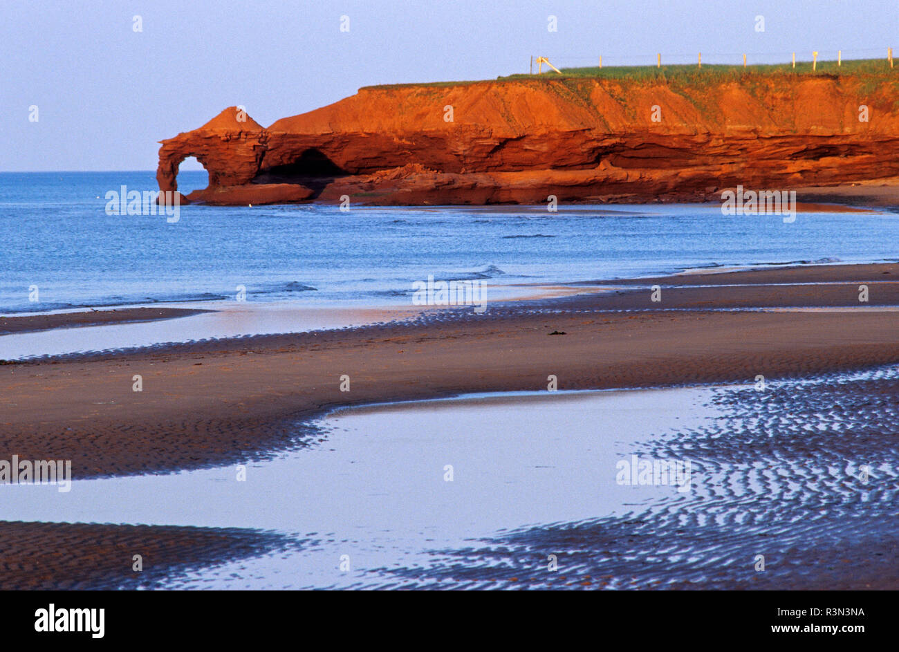 Canada, Prince Edward Island, Darnley. Shoreline of Gulf of St ...
