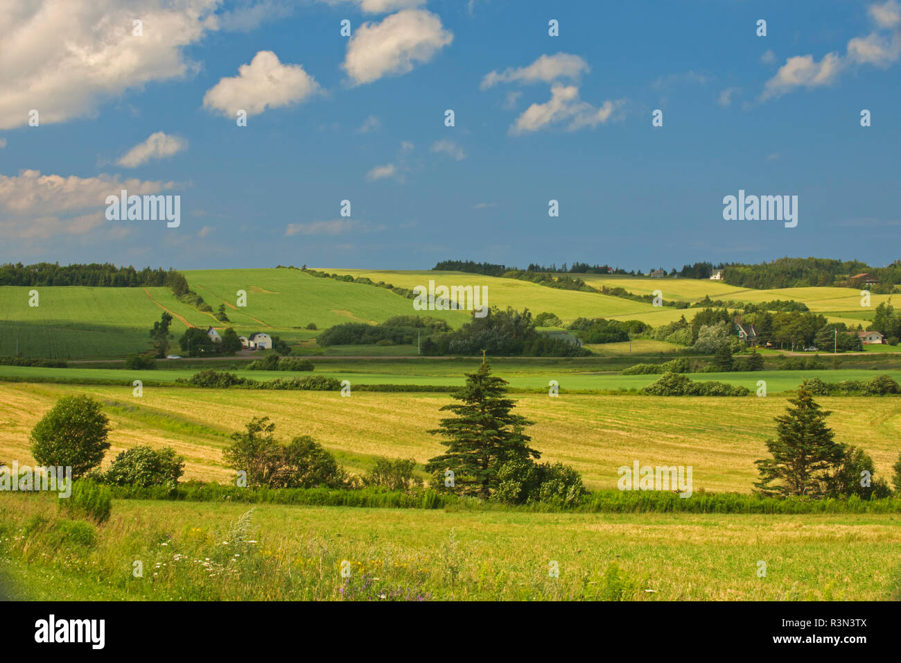 French river island hi-res stock photography and images - Alamy