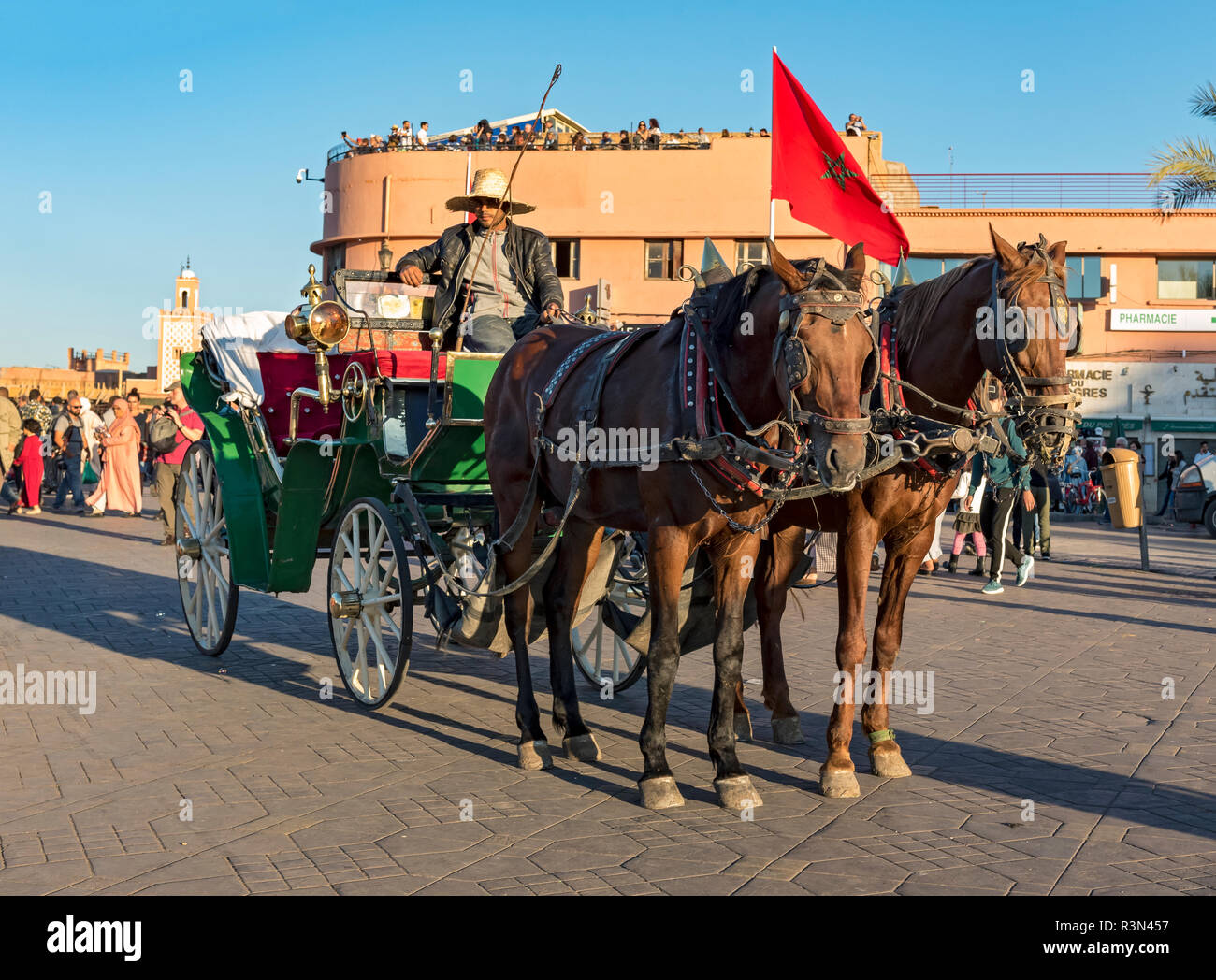 Caleche Marrakech High Resolution Stock Photography and Images - Alamy