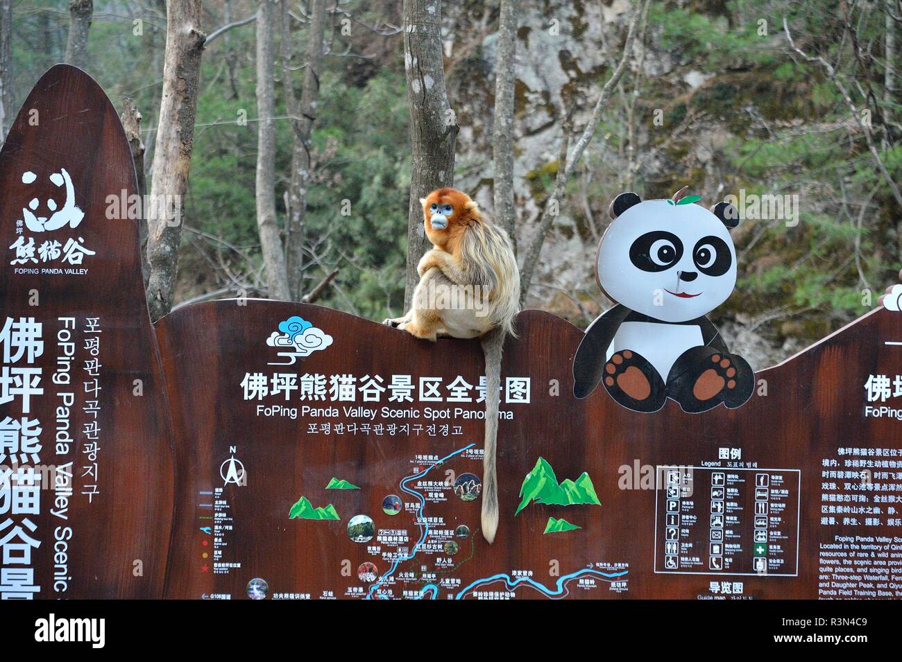 Foping nature reserve hi-res stock photography and images - Alamy
