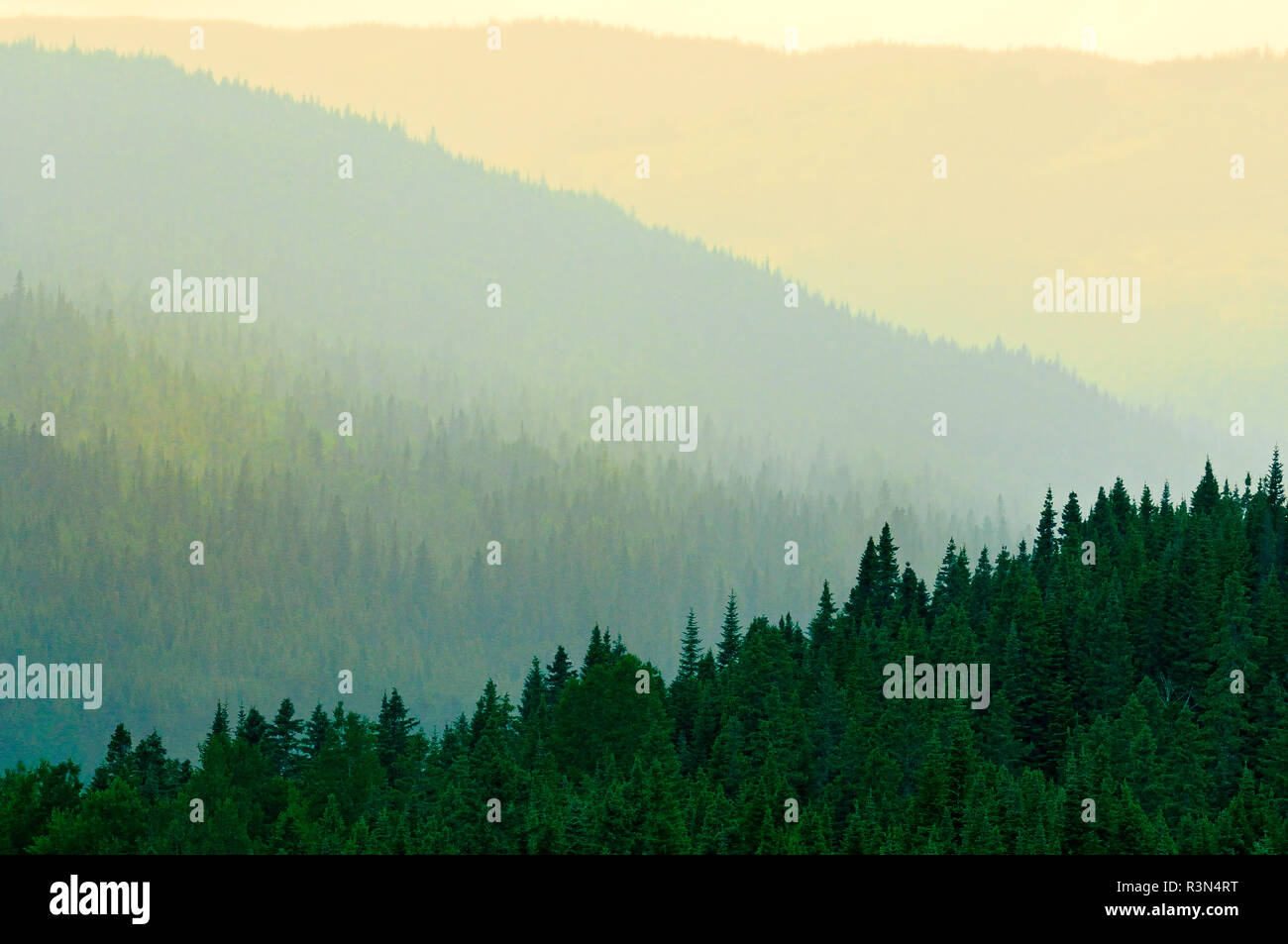Parc des laurentides hi-res stock photography and images - Alamy