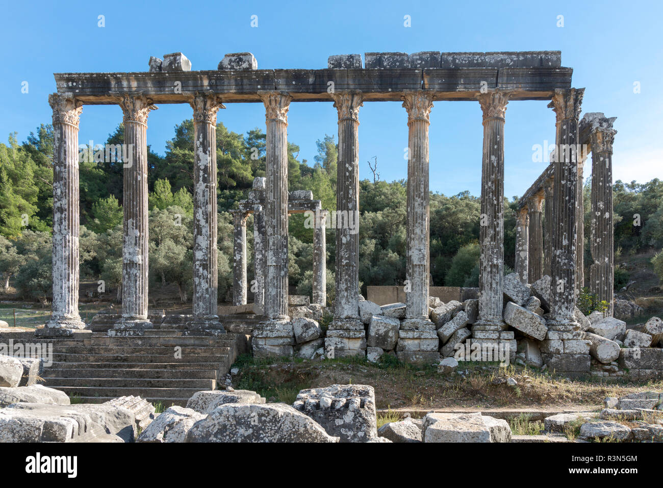 Euromos ruins, located just off the Soke-Milas road.Mugla Turkey Stock ...