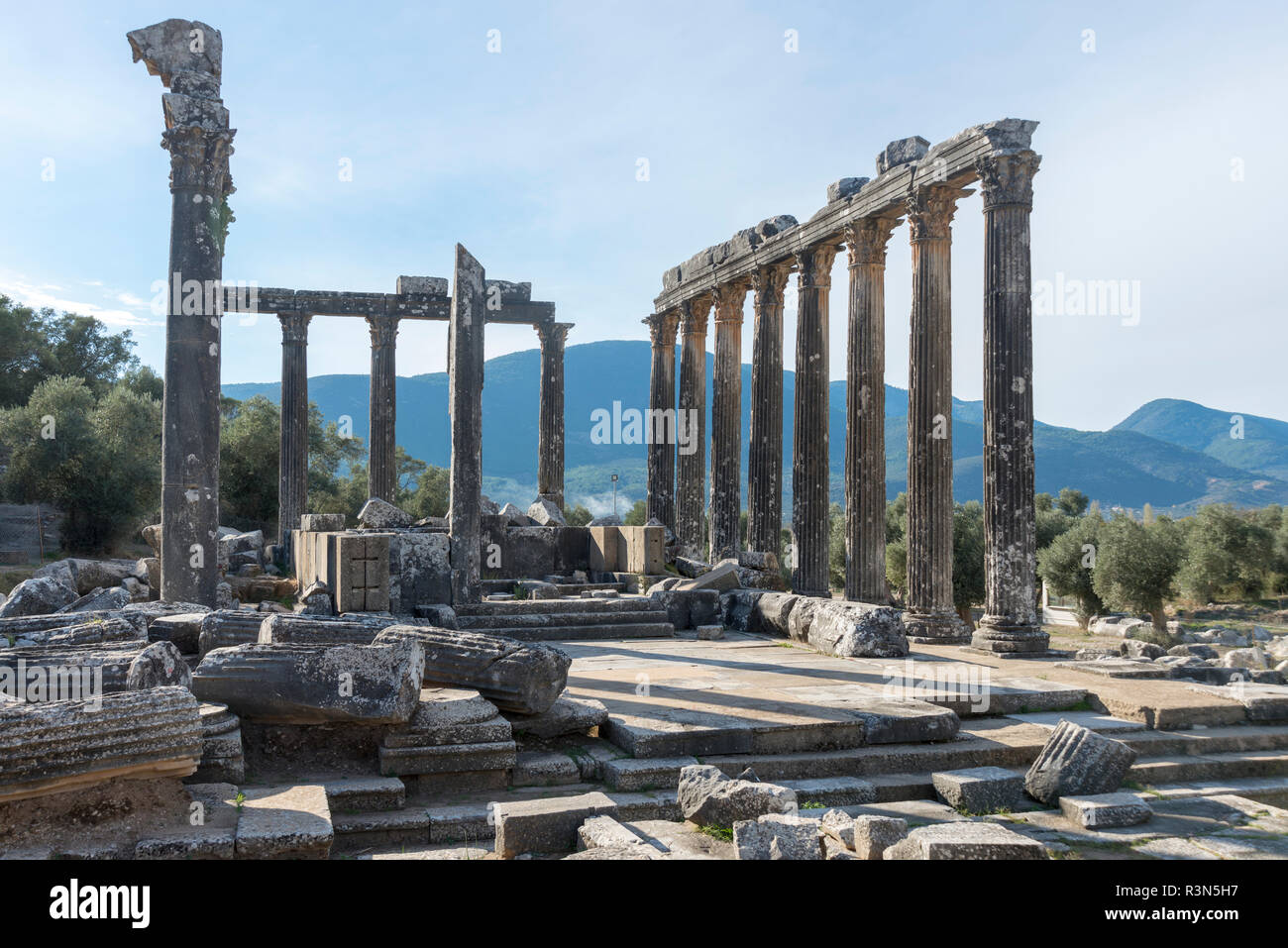Euromos ruins, located just off the Soke-Milas road.Mugla Turkey Stock ...