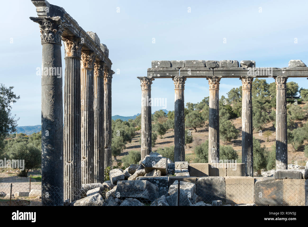 Euromos ruins, located just off the Soke-Milas road.Mugla Turkey Stock ...
