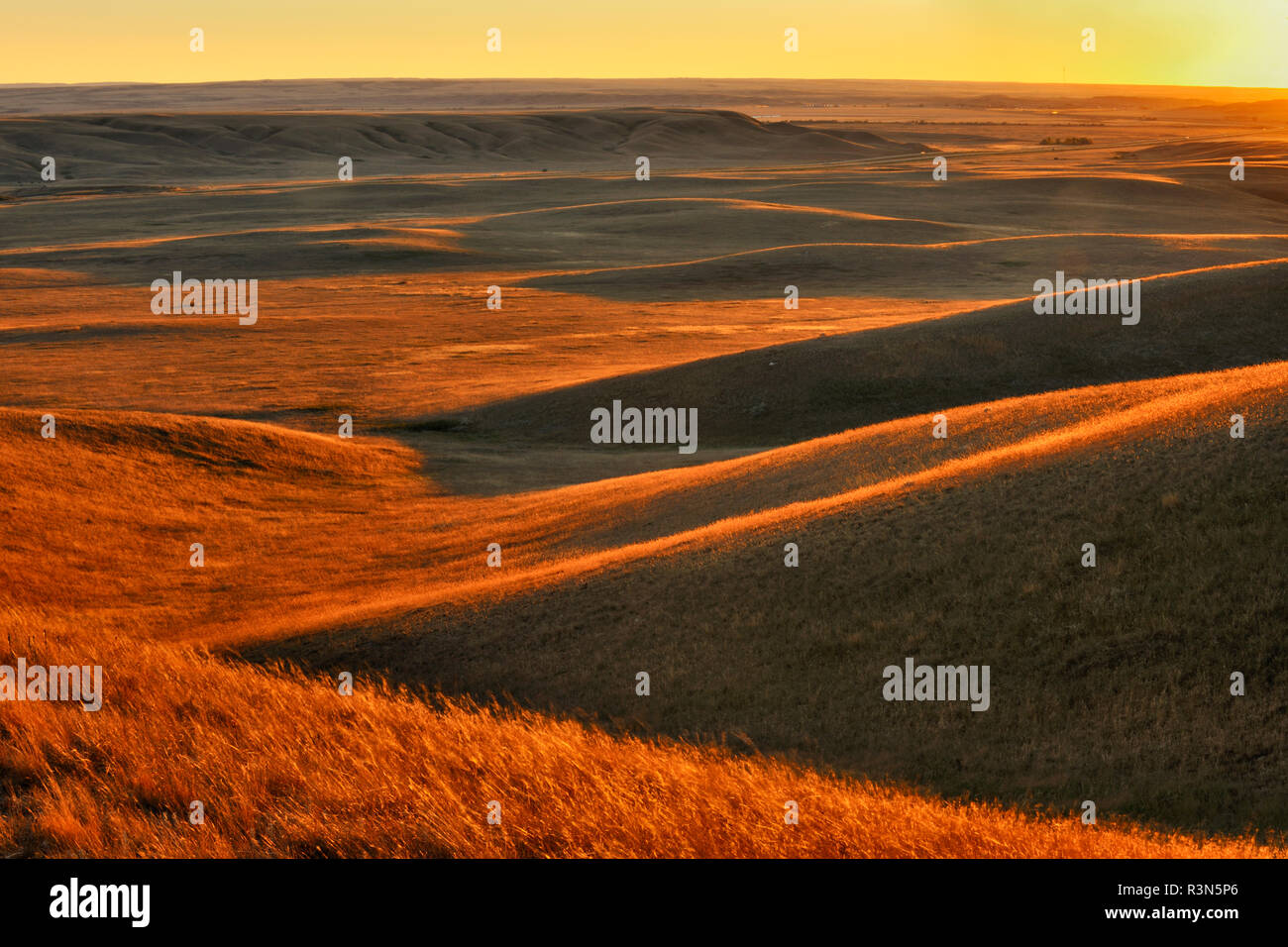 Grasslands saskatchewan hi-res stock photography and images - Alamy