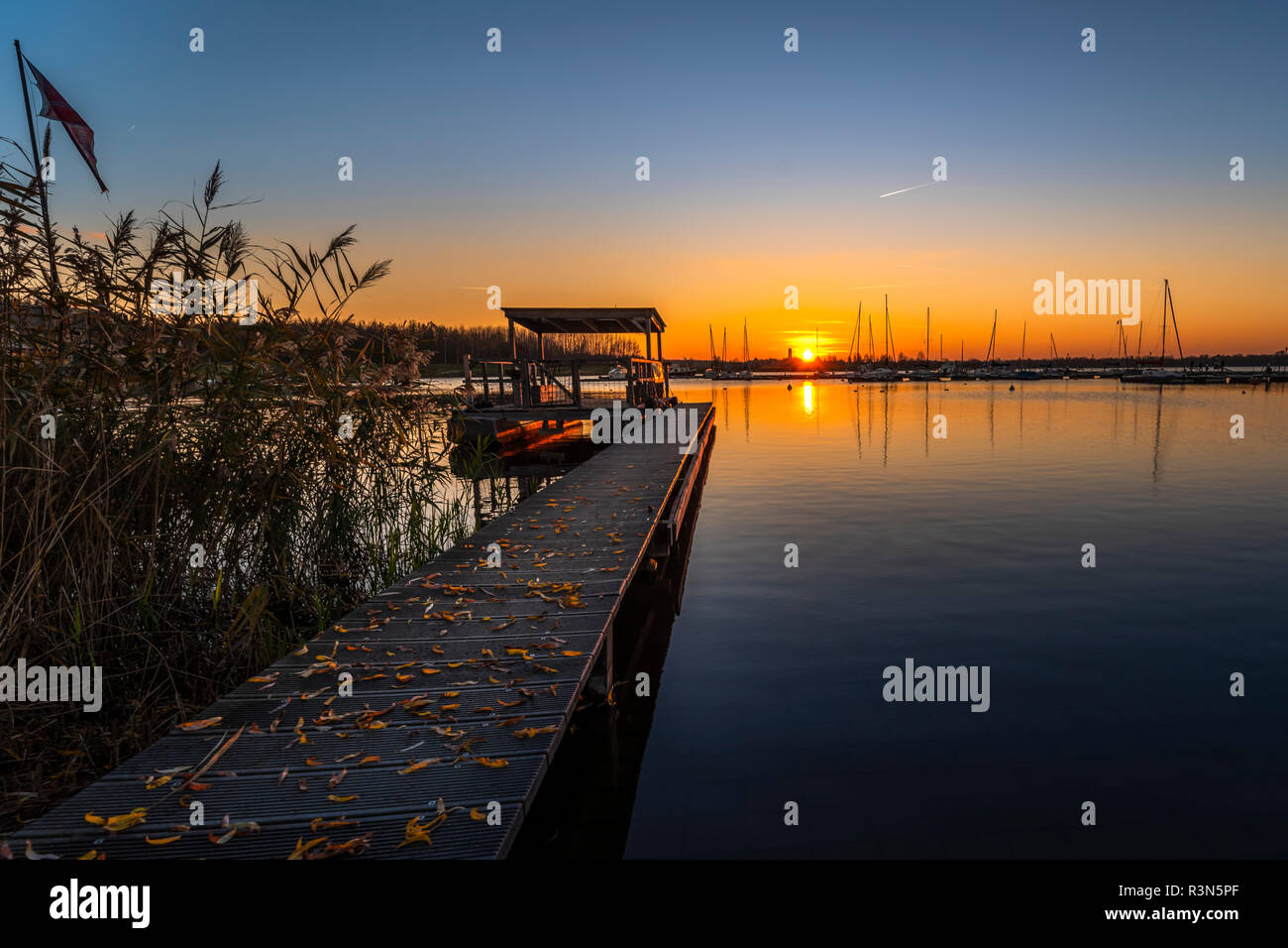 Cospuden lake at sunset hi-res stock photography and images - Alamy