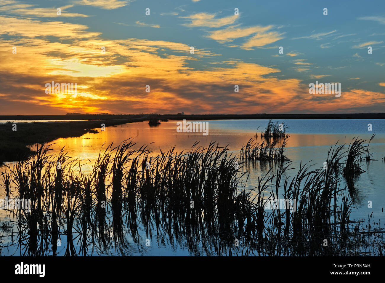 Tuxford hi-res stock photography and images - Alamy