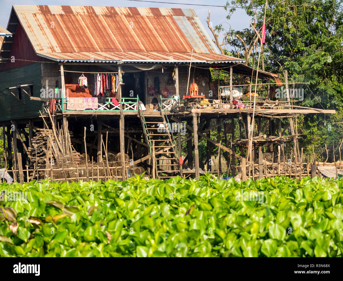 Asia, Cambodia, Siem Reap, Stilted city, Floating city on stilts Stock ...
