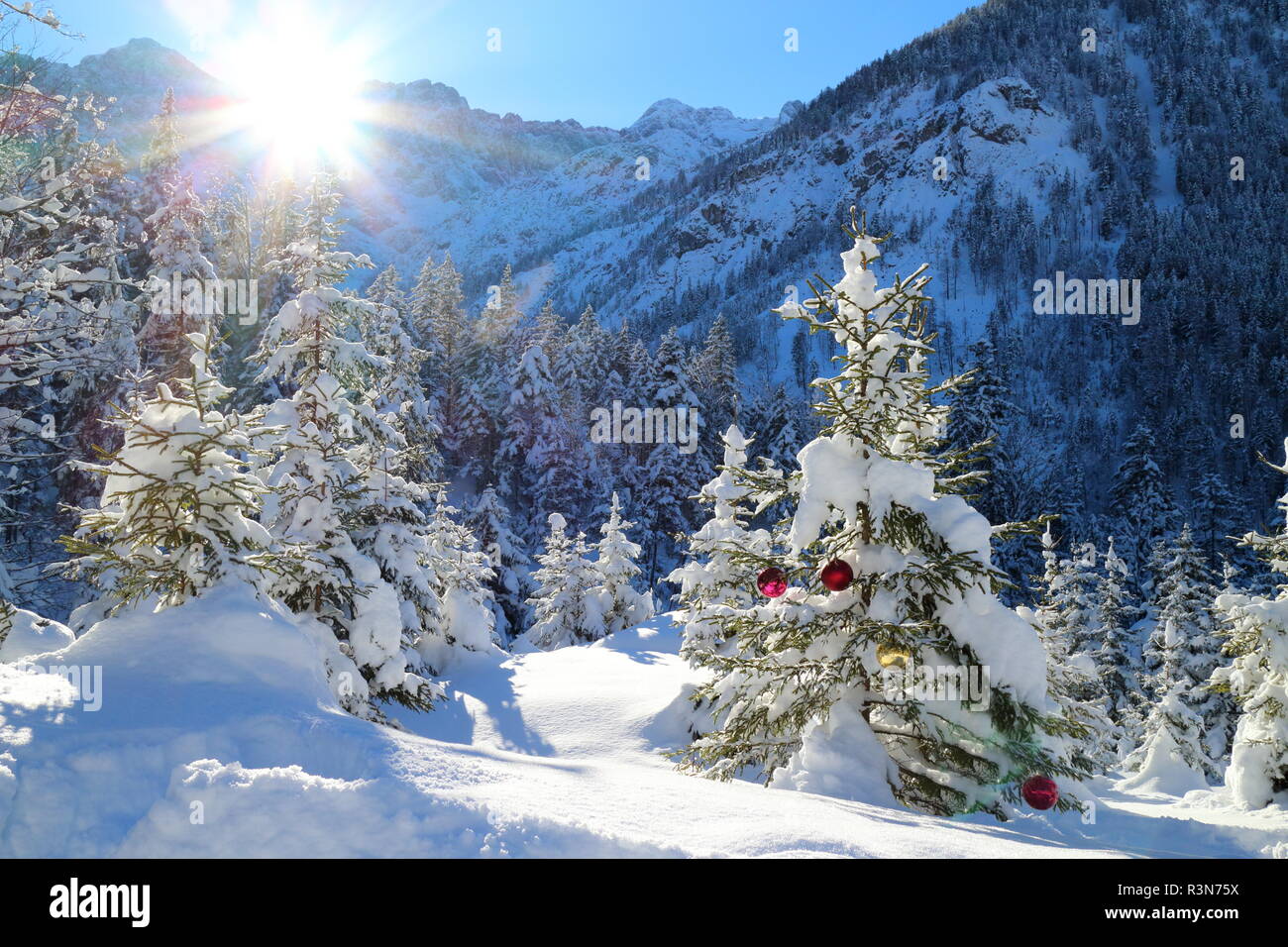 christmas in the sun Stock Photo - Alamy