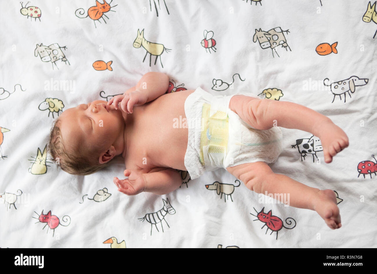infant with a diaper Stock Photo - Alamy