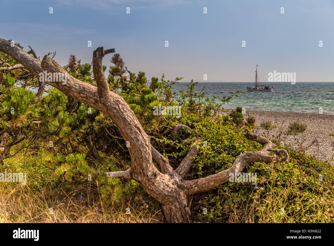 Denmark djursland beach hi-res stock photography and images - Alamy