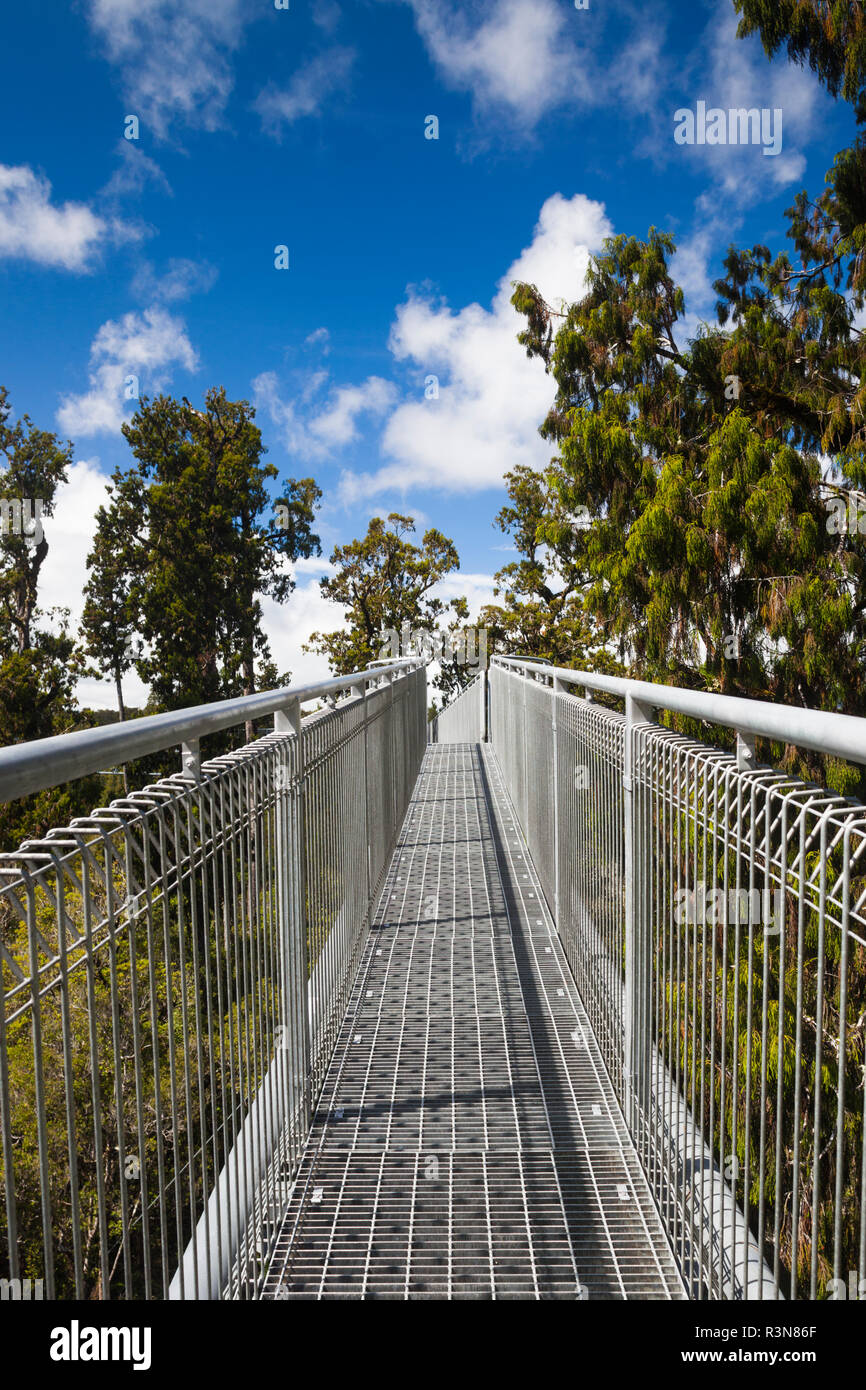 New Zealand, South Island, West Coast, Hokitika, West Coast Treetops ...