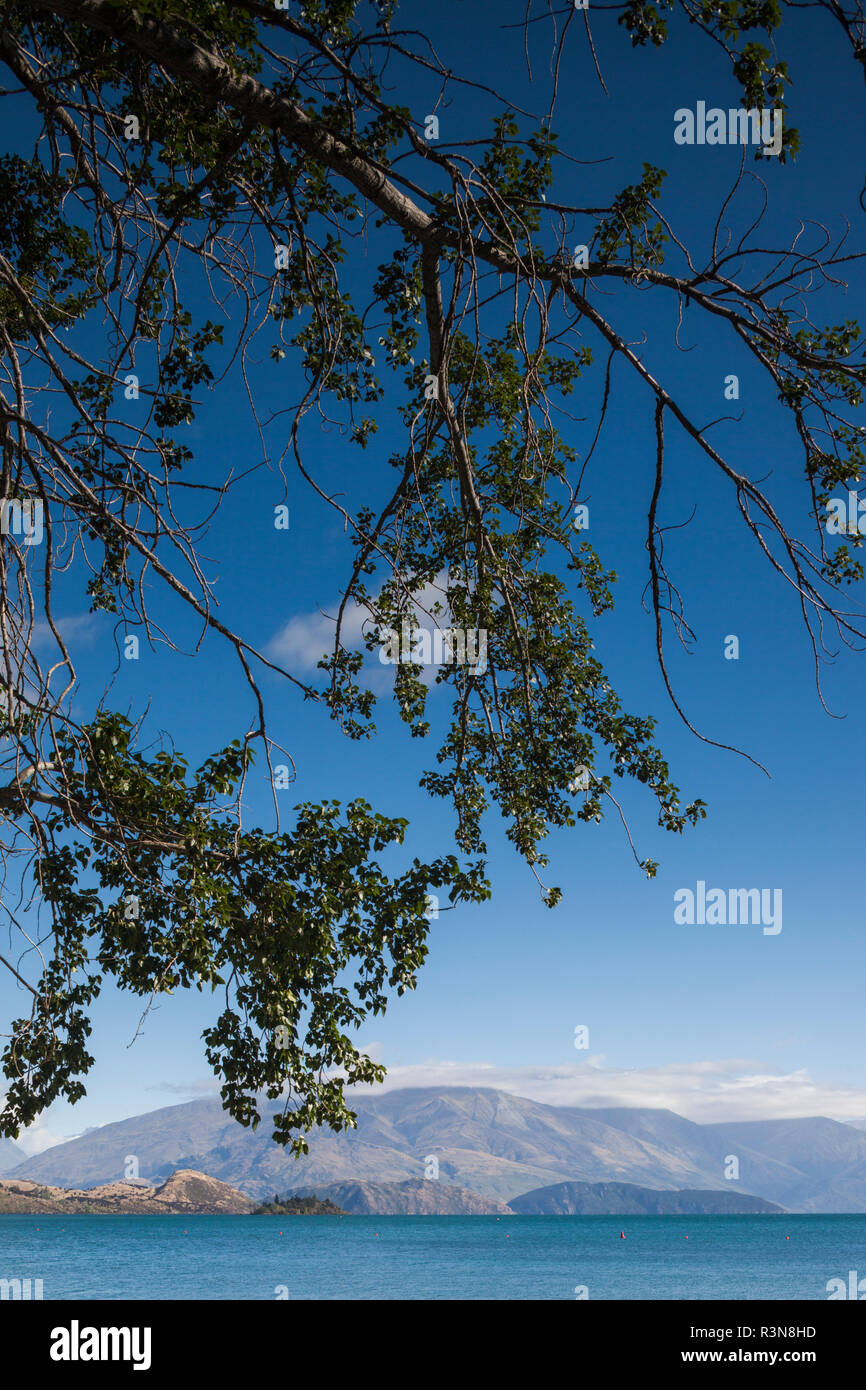 New Zealand, South Island, Otago, Wanaka, Lake Wanaka Stock Photo - Alamy