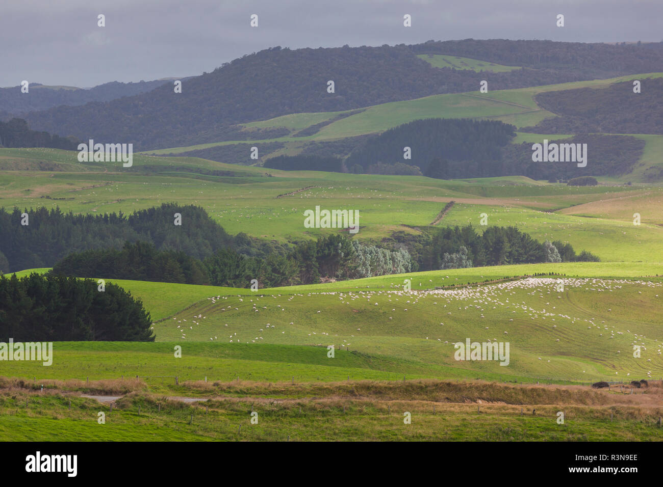 New Zealand, South Island, Southland, The Catlins, Fortrose, landscape ...