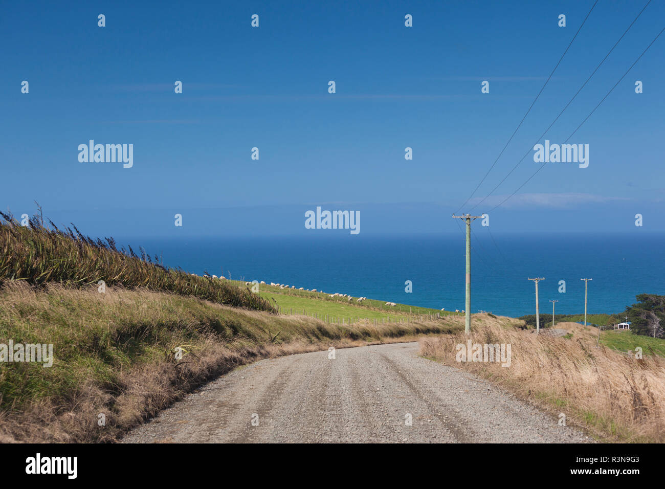 Fortrose southland hi-res stock photography and images - Alamy
