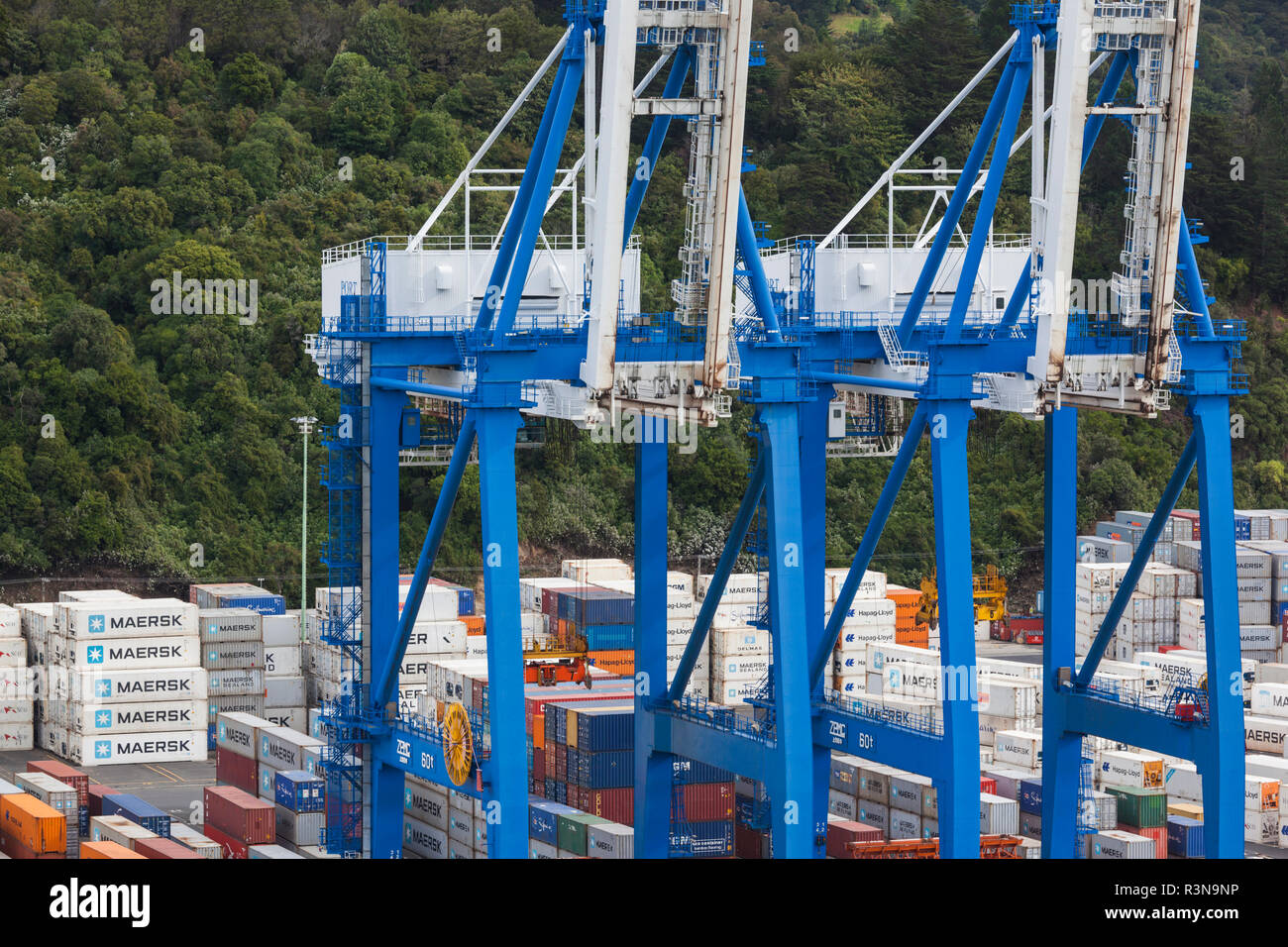 New Zealand, South Island, Otago, Port Chalmers, elevated port view ...