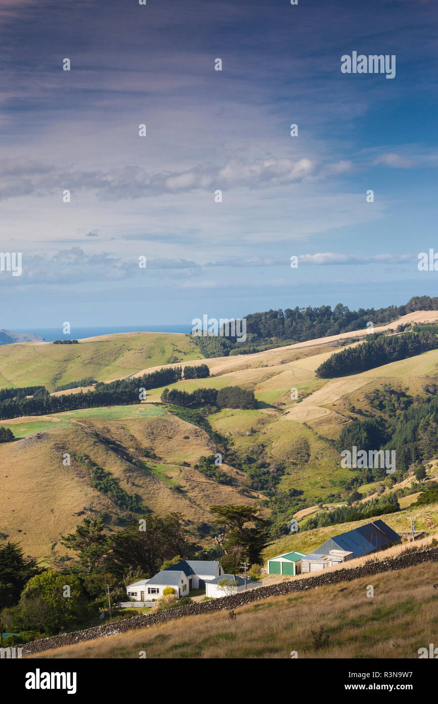 New Zealand, South Island, Otago, Otago Peninsula, peninsular landscape ...