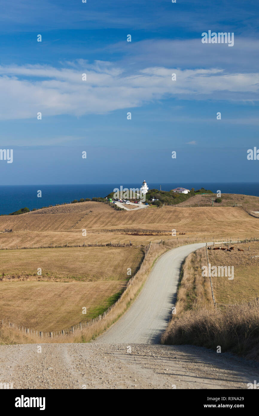 New Zealand, South Island, Otago, Moeraki, Katiki Point Lighthouse and ...
