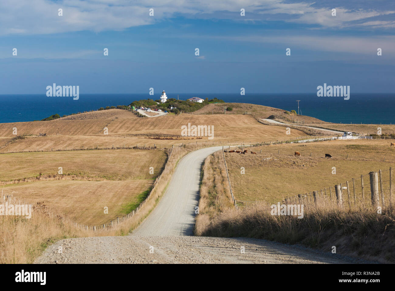New Zealand, South Island, Otago, Moeraki, Katiki Point Lighthouse and ...