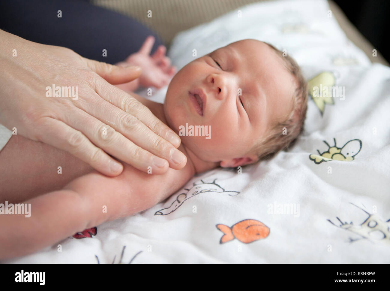 baby is being stroked Stock Photo - Alamy