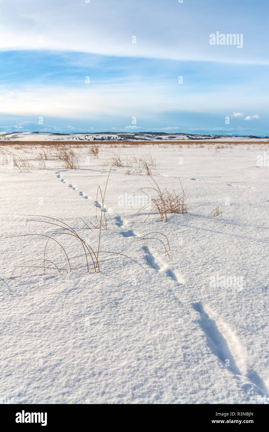 Lloyd trail hi-res stock photography and images - Alamy