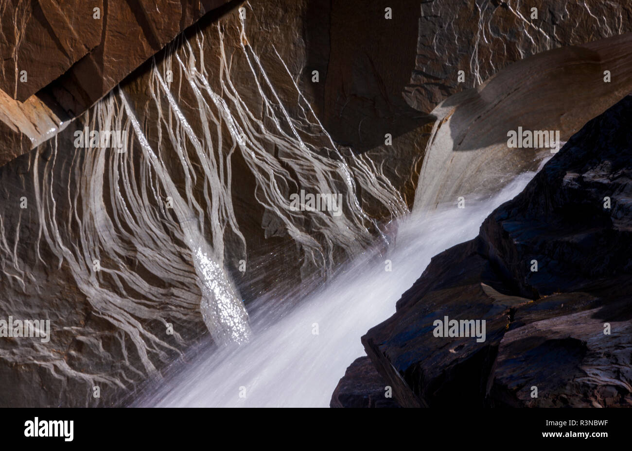 Alpine Stream, Jasper National Park, Alberta, Canada Stock Photo - Alamy