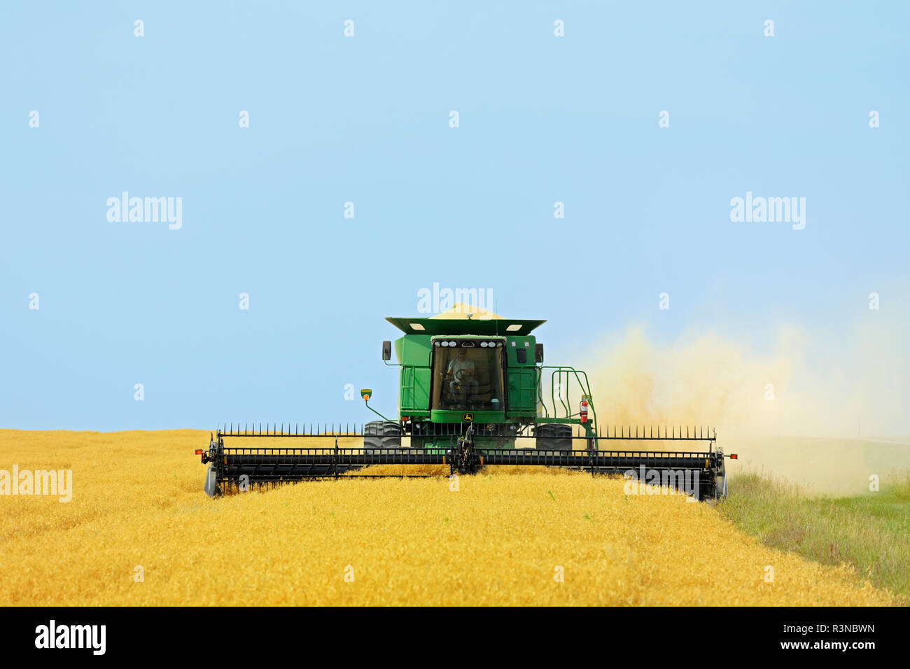 Harvesting peas hi-res stock photography and images - Alamy