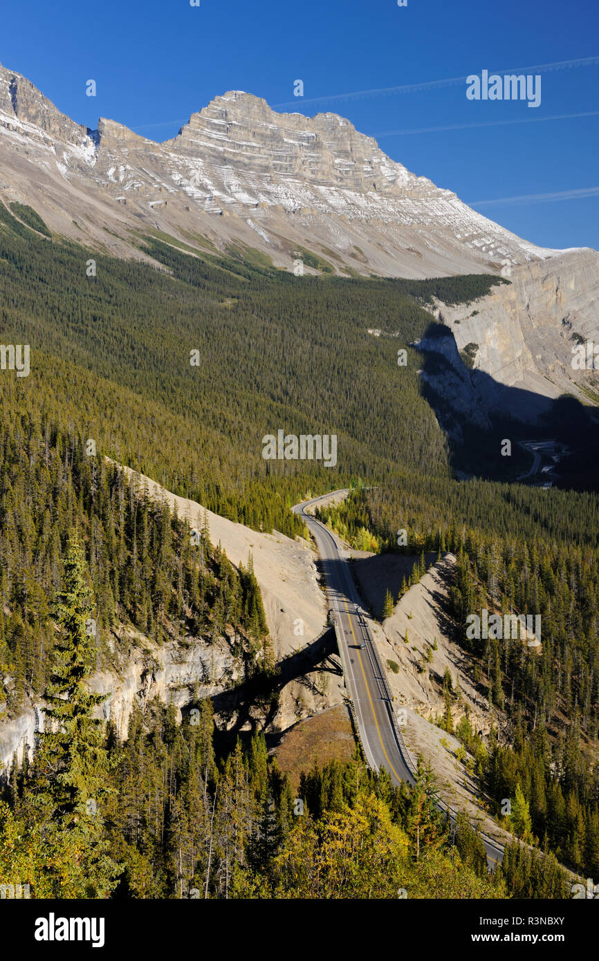 Icefields parkway alberta canada road hi-res stock photography and ...