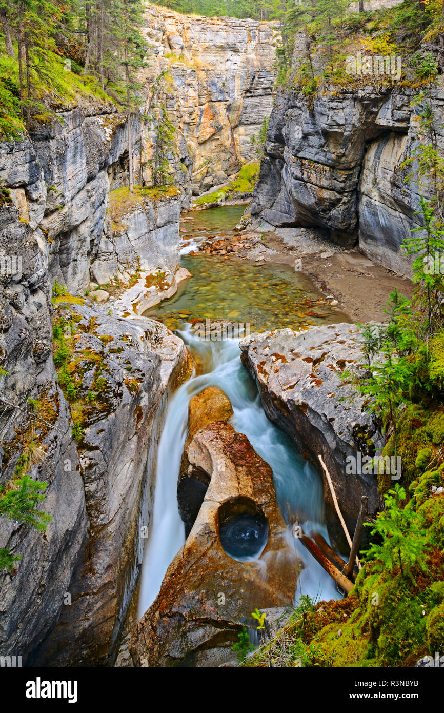 Canada, Alberta, Jasper National Park. Maligne River flows down Maligne ...