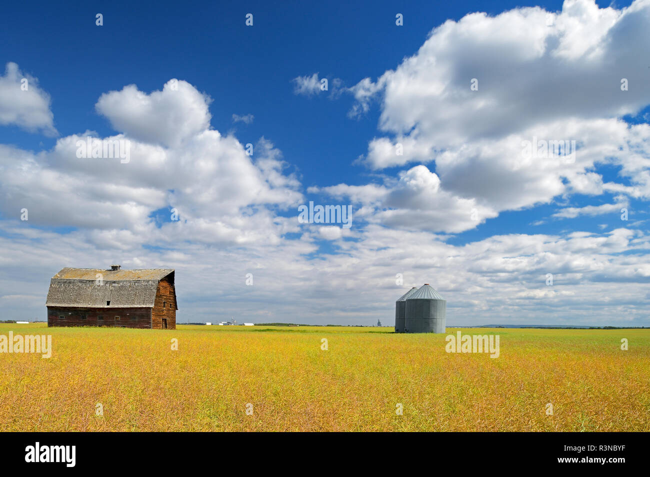 Alberta canada farm hi-res stock photography and images - Alamy