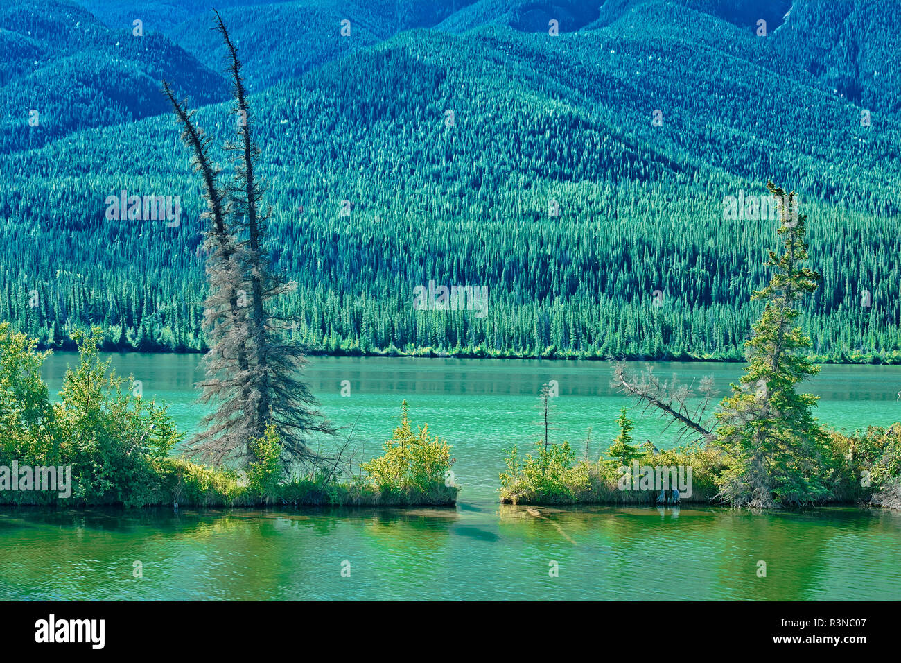 Talbot lake alberta canada hi-res stock photography and images - Alamy