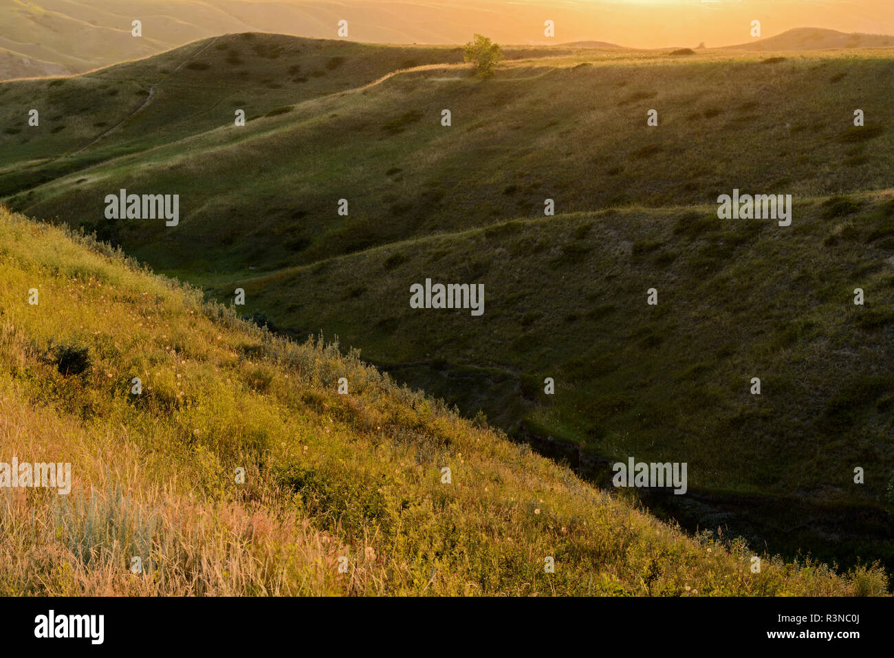 Canada, Alberta, Lethbridge. Rolling hills at sunset Stock Photo - Alamy