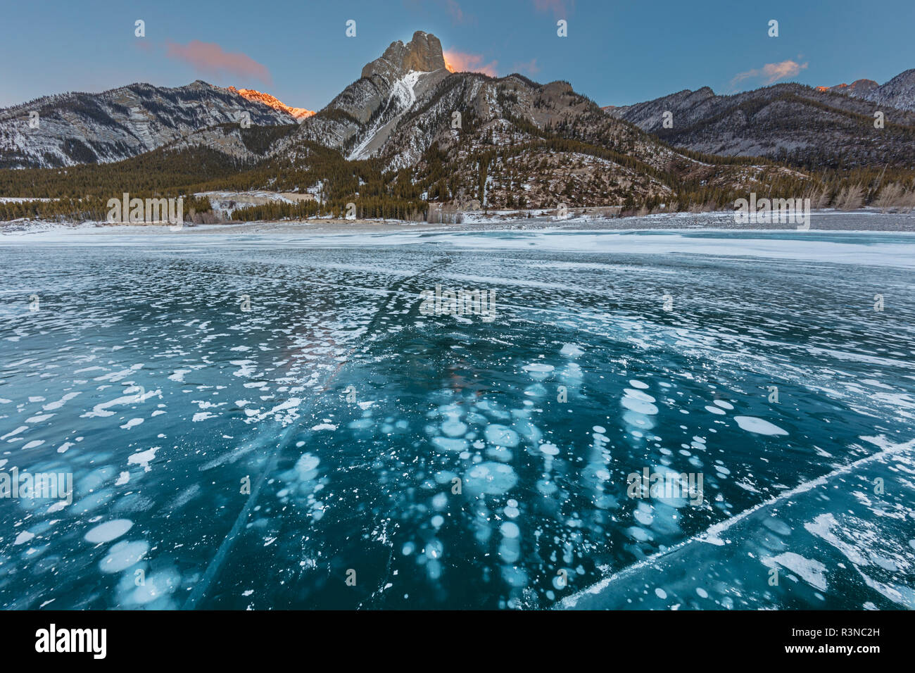 Methane ice bubbles under clear ice on Abraham Lake near Nordegg ...