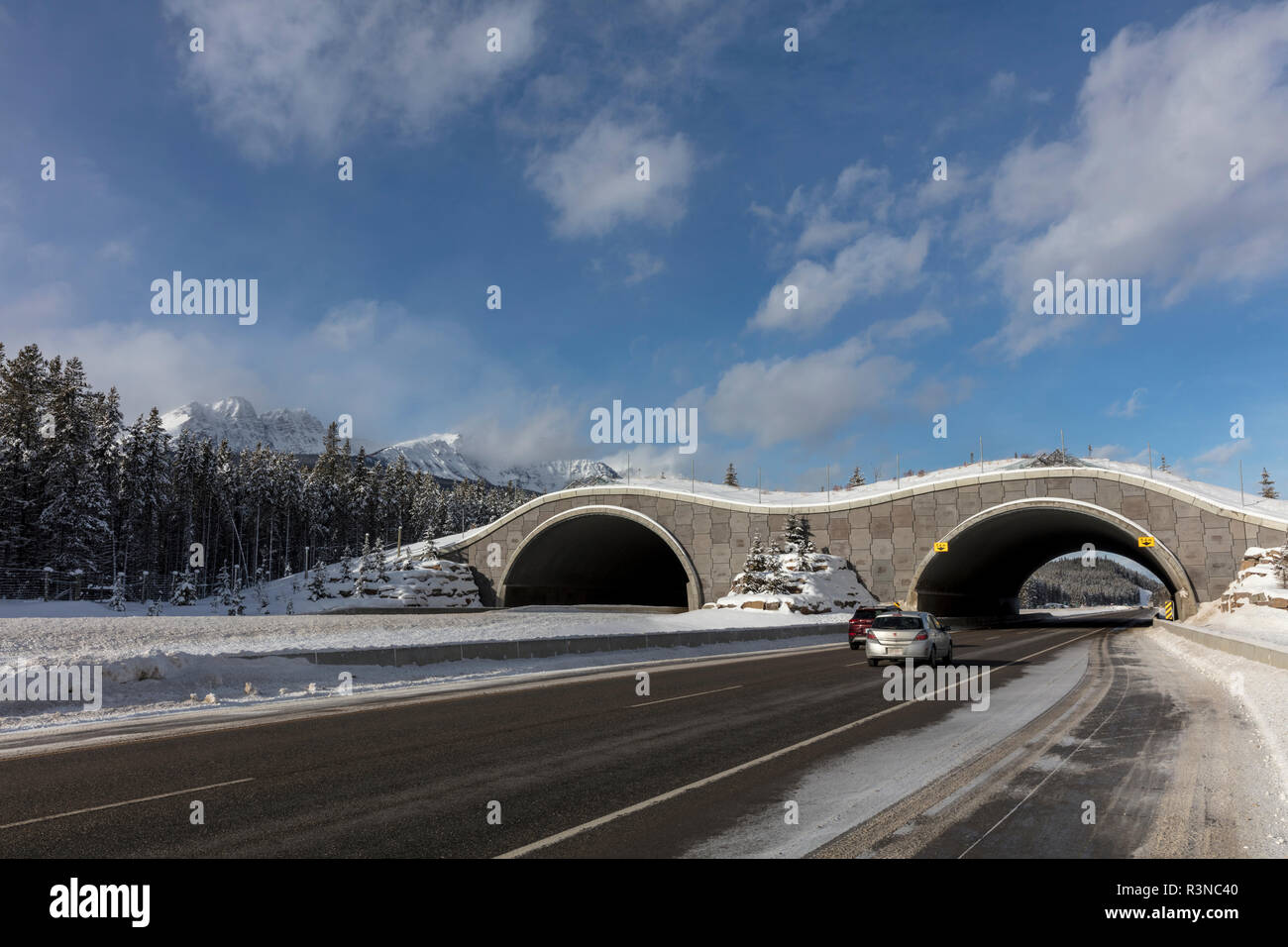 Wildlife overpass banff national park hi-res stock photography and ...