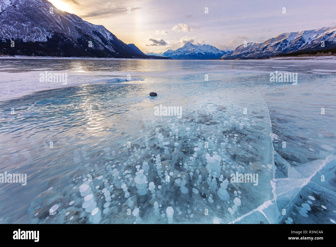 Methane ice bubbles under clear ice on Abraham Lake near Nordegg ...