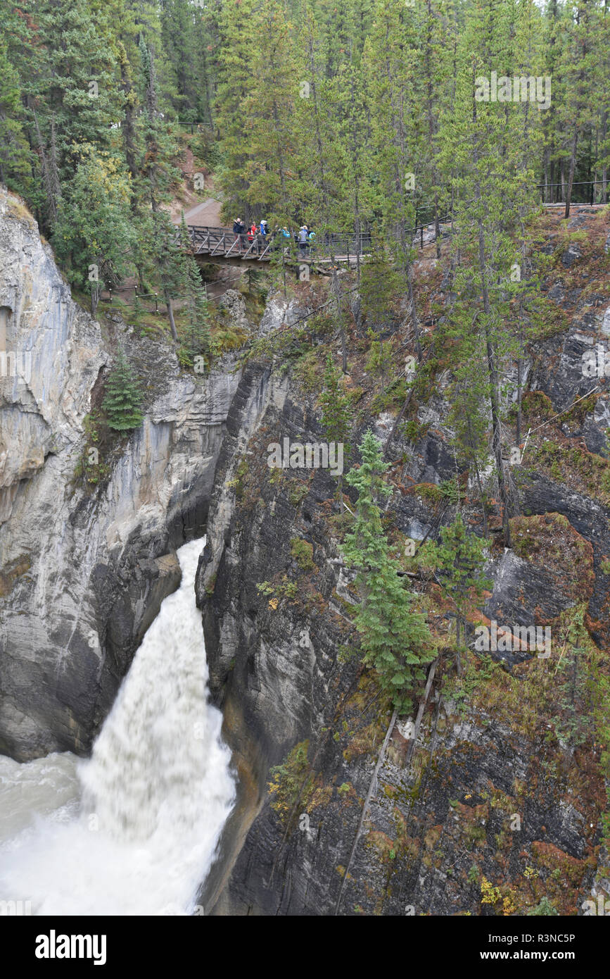 Sunwapta Falls, Jasper National Park, Alberta, Canada, Canadian Rockies ...