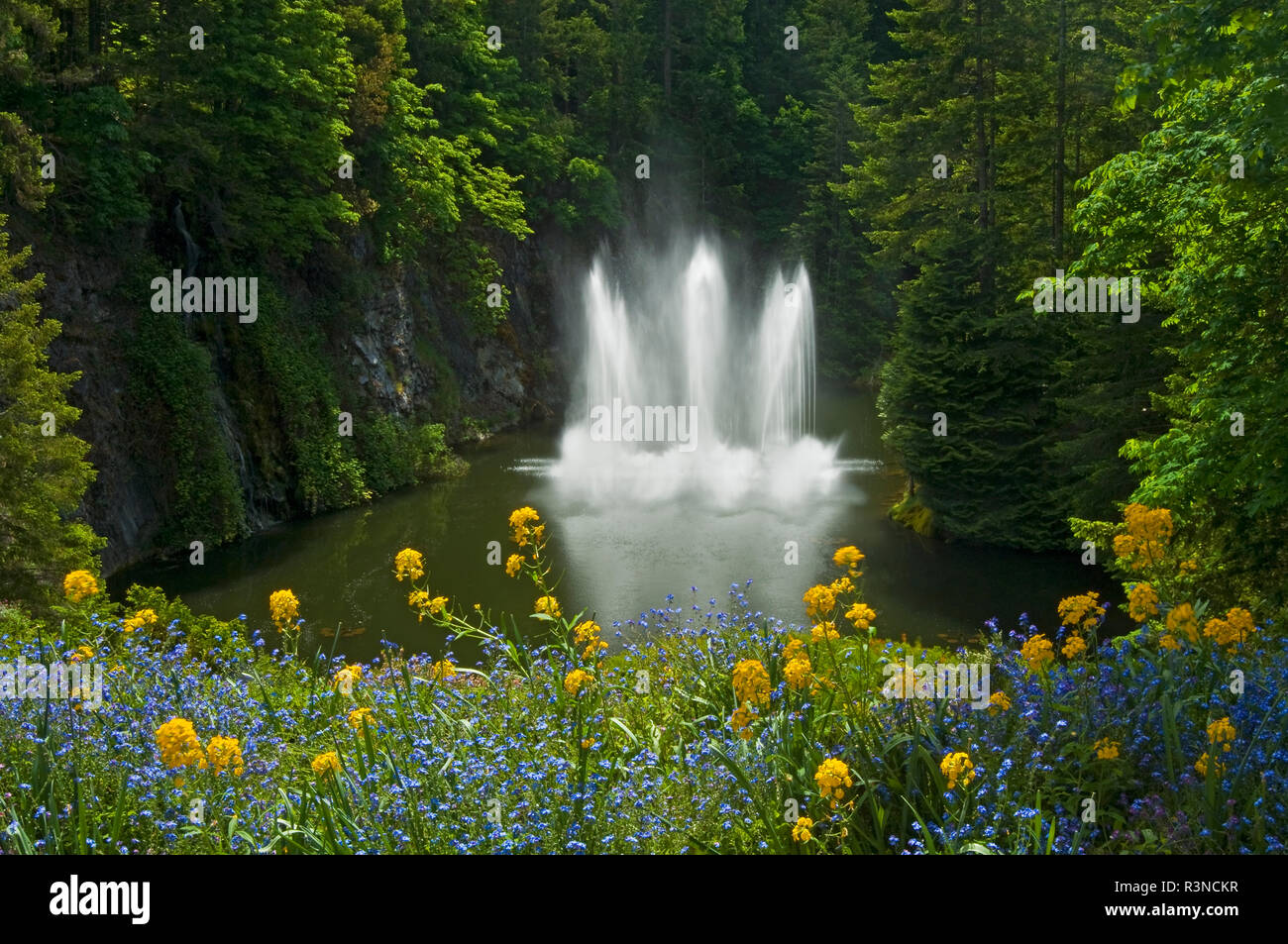 Water fountain butchart gardens victoria hi-res stock photography and ...