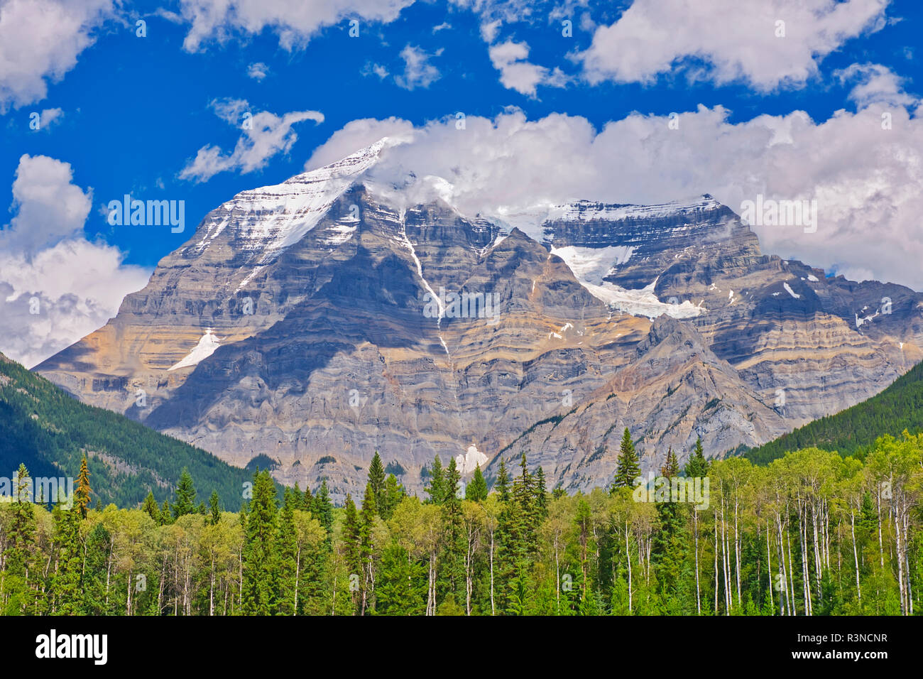 Canada, British Columbia, Mt. Robson Provincial Park. Mt. Robson and ...