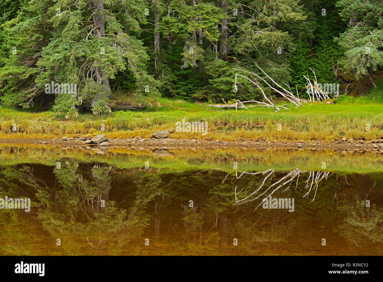 Canada, British Columbia, Graham Island. Reflections in Tlell River ...
