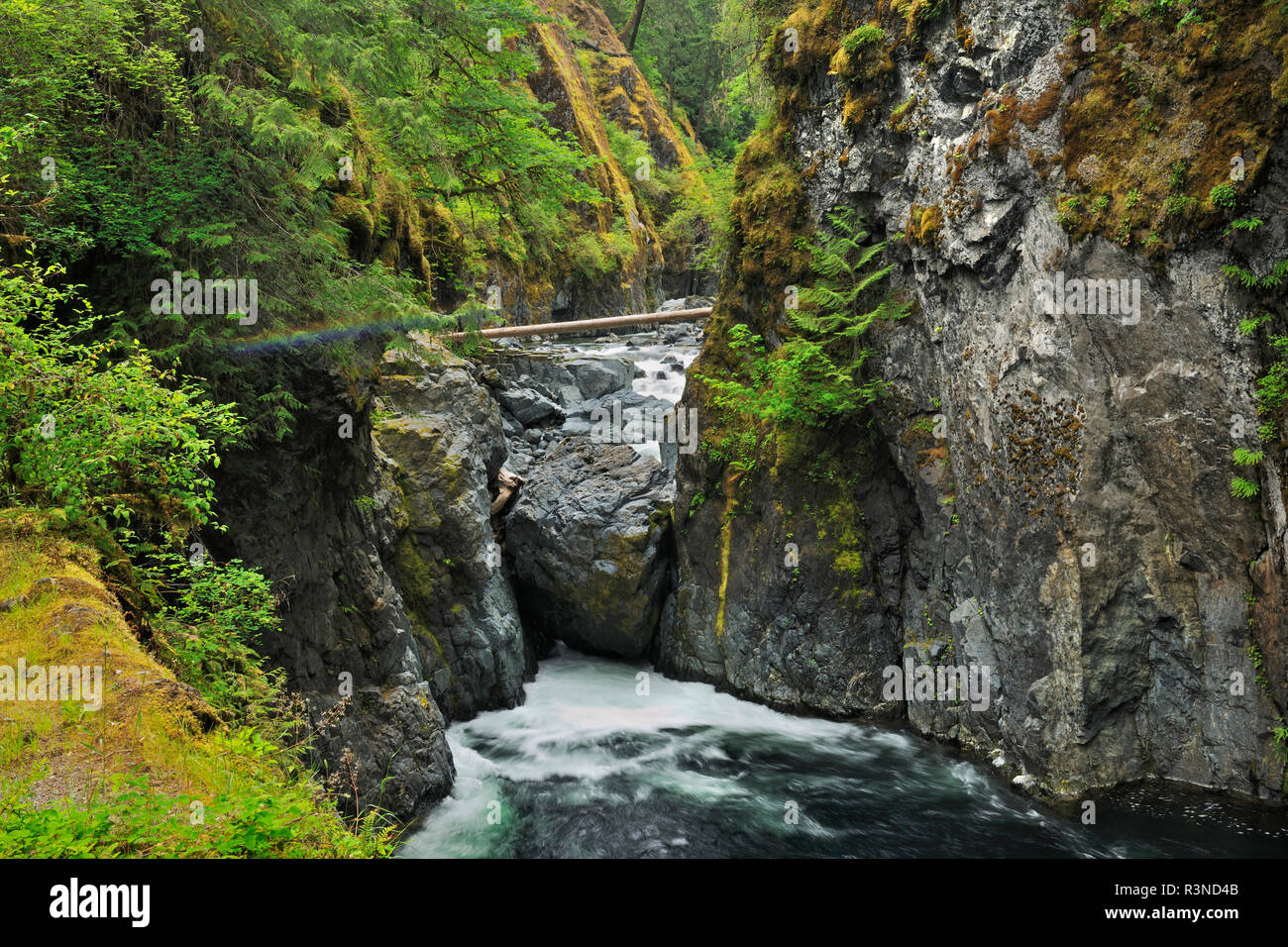 Canada, British Columbia. Englishman River Falls cascade Stock Photo ...