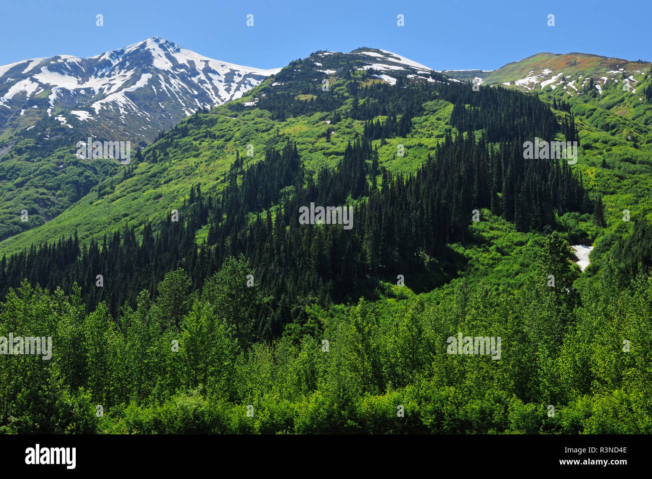 British columbia coast scenic hi-res stock photography and images - Alamy