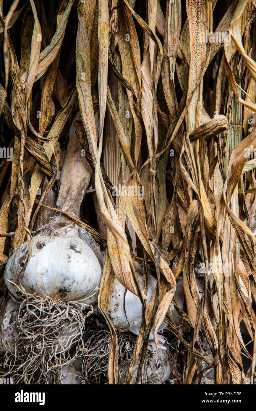 Gulf of ganges hi-res stock photography and images - Alamy