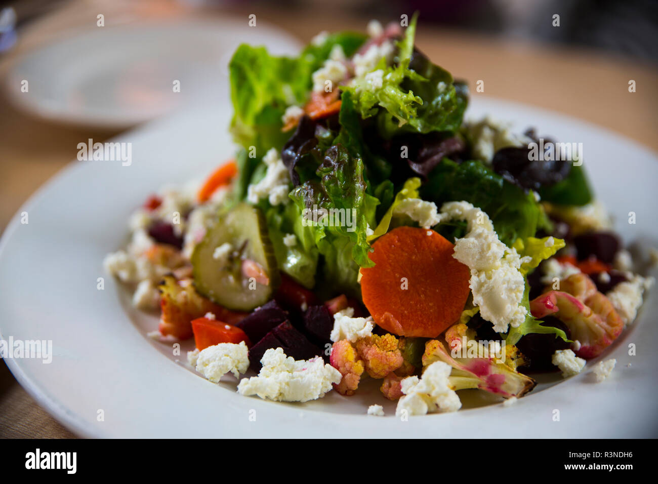 Victoria, British Columbia, Vancouver Island, Canada. Fresh green leaf ...