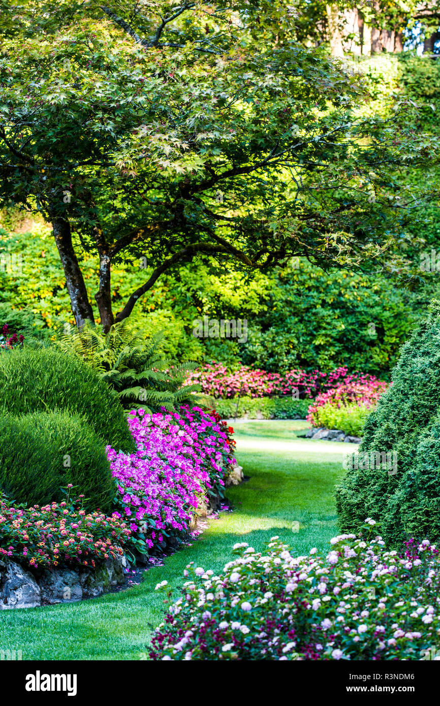 Butchart Gardens, Victoria, British Columbia, Canada. Lawn path around ...